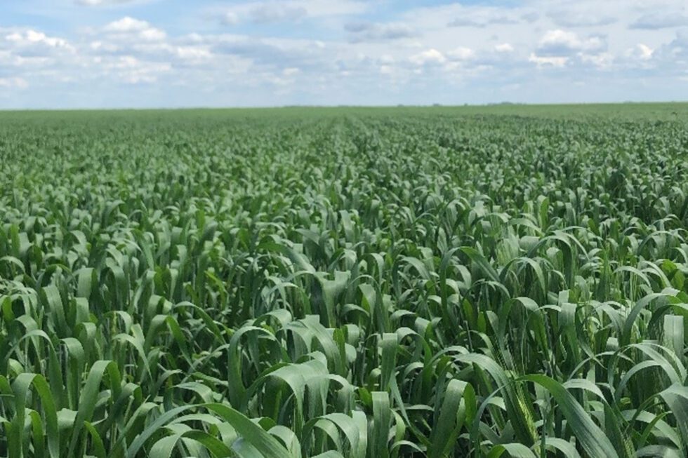 Precision Ag – Products and Services